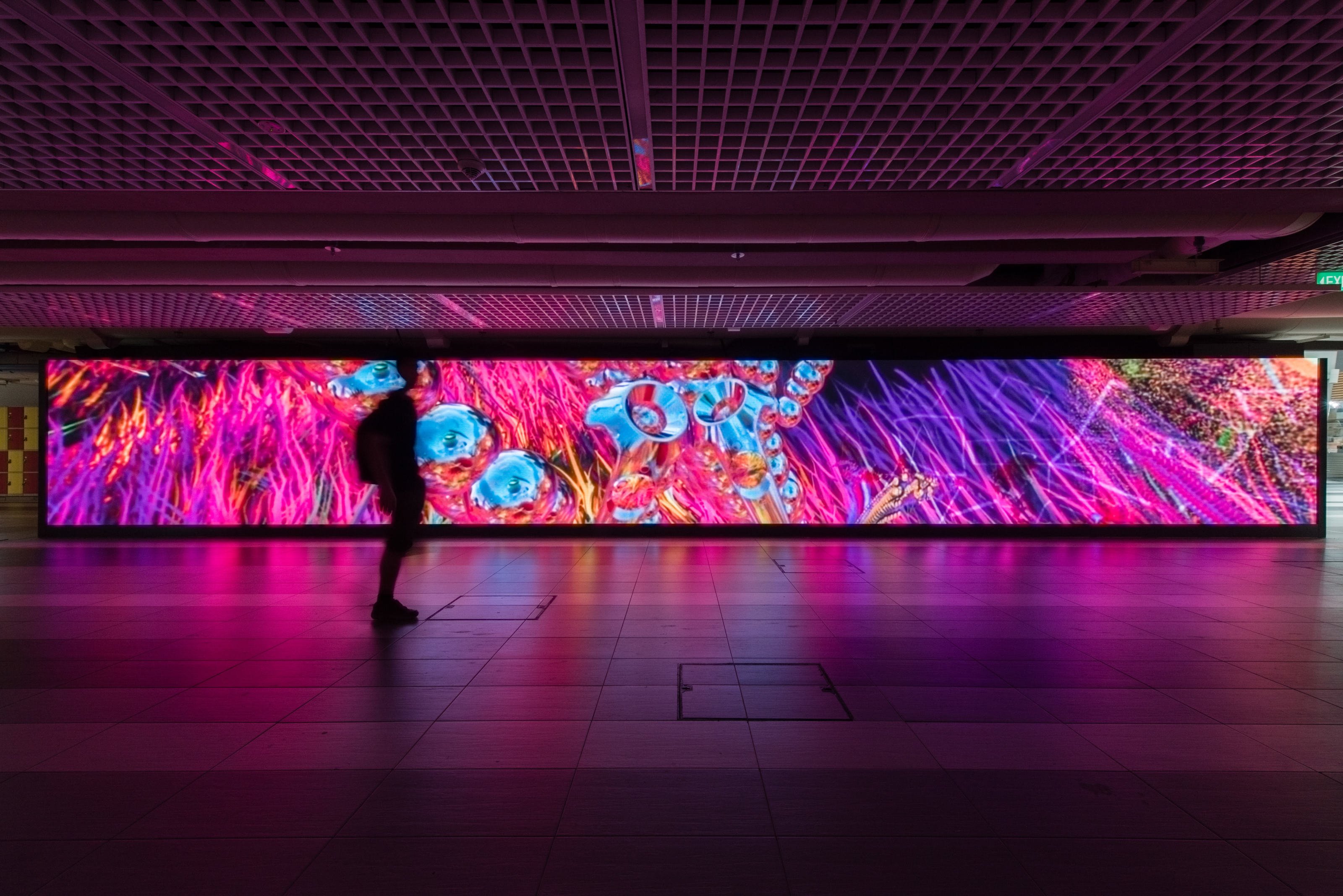 Eutow, Black Rain, Aroha – Marpi Studio