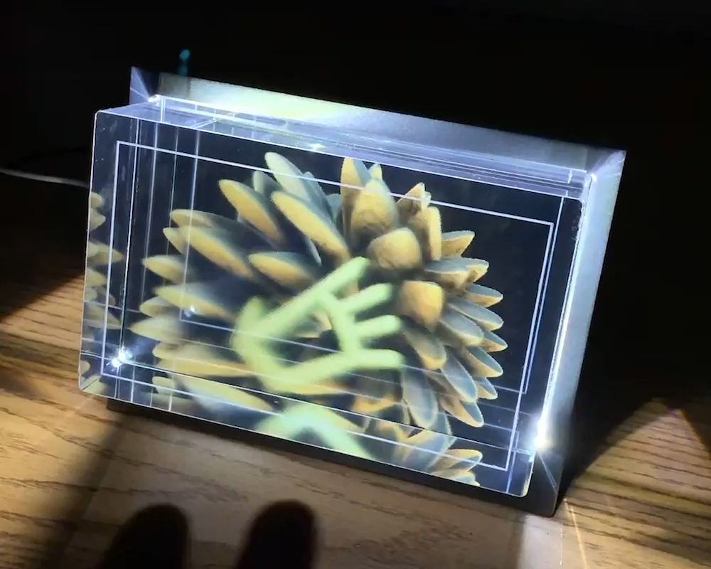 Algae: Aux – Marpi Studio