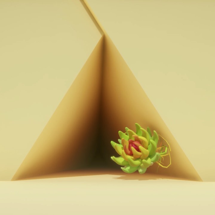 See you in the desert – Marpi Studio