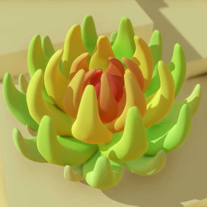 Hello world – Marpi Studio