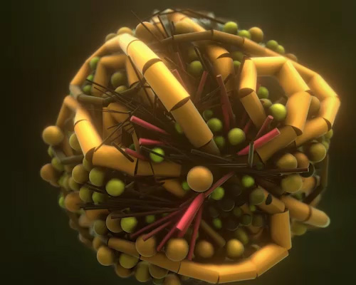 Sleeping Patterns – Marpi Studio