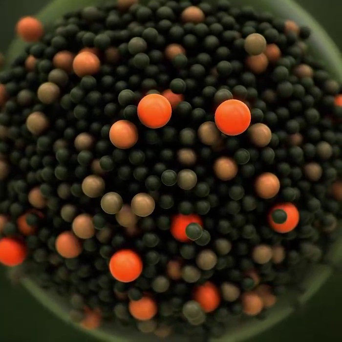 Spawning Pool – Marpi Studio